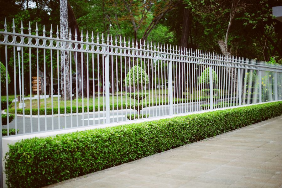 NZ's Leading Waikato Hamilton Fence Builders // Free Quote